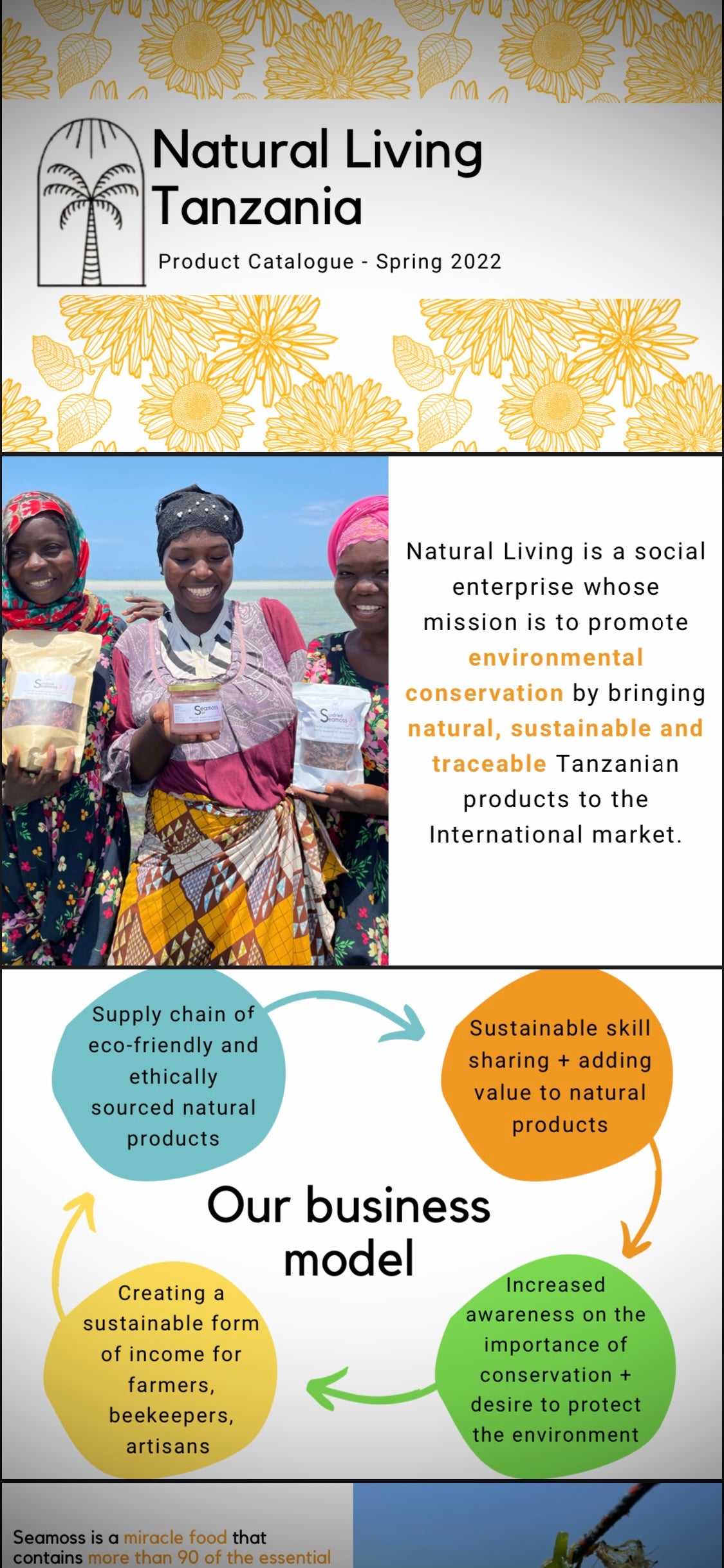 Natural Living Tanzania – Kibandani Grocery